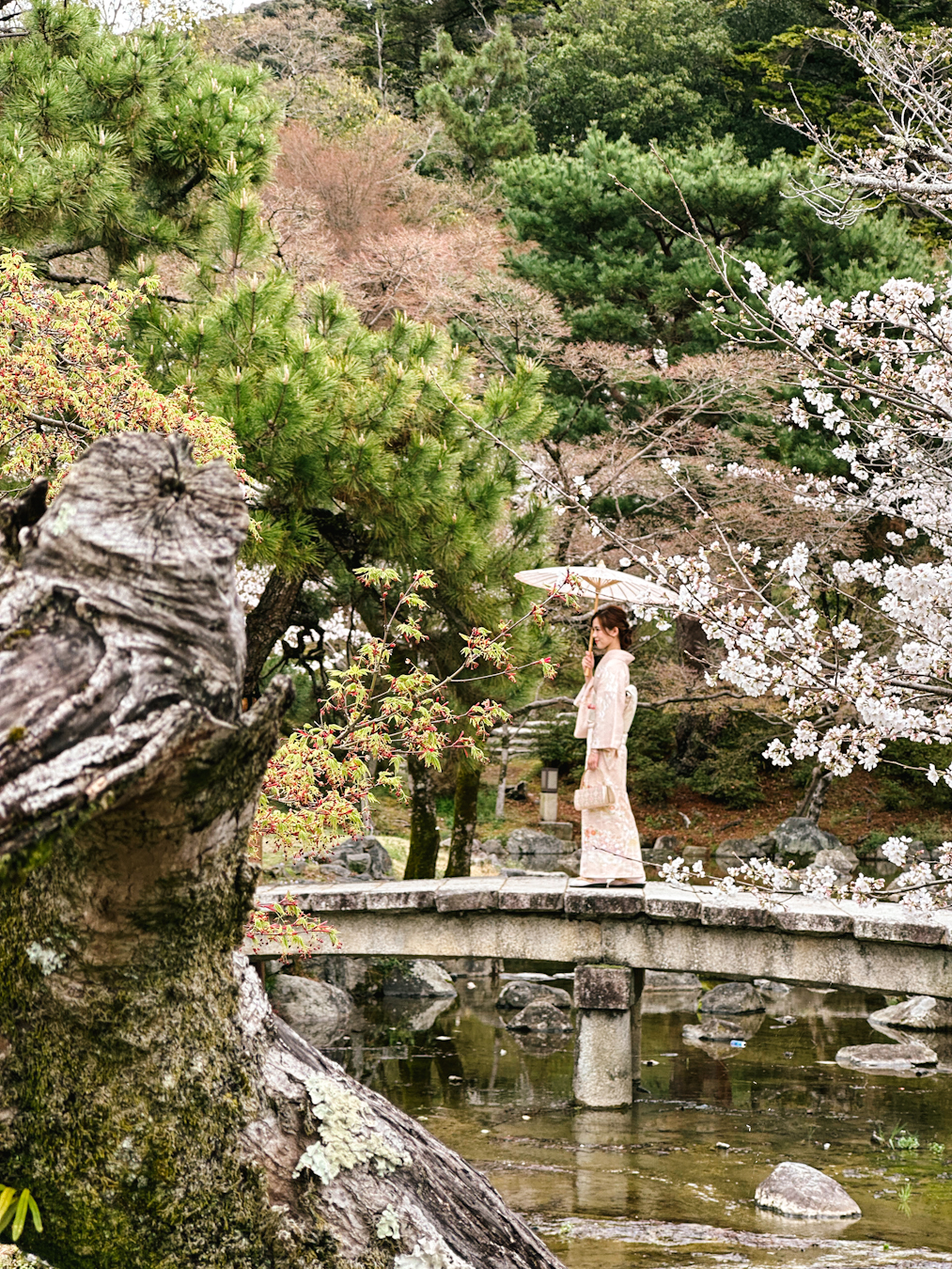 Cosa vedere e fare a Kyoto in quattro giorni - Eleutha