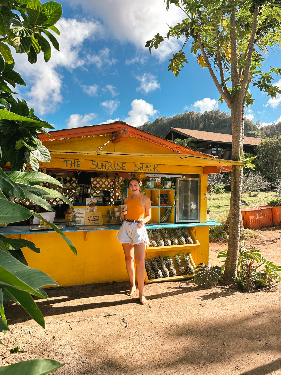 Cosa vedere alle Hawaii - 10 cose imperdibili sull'Isola di Oahu - Eleutha